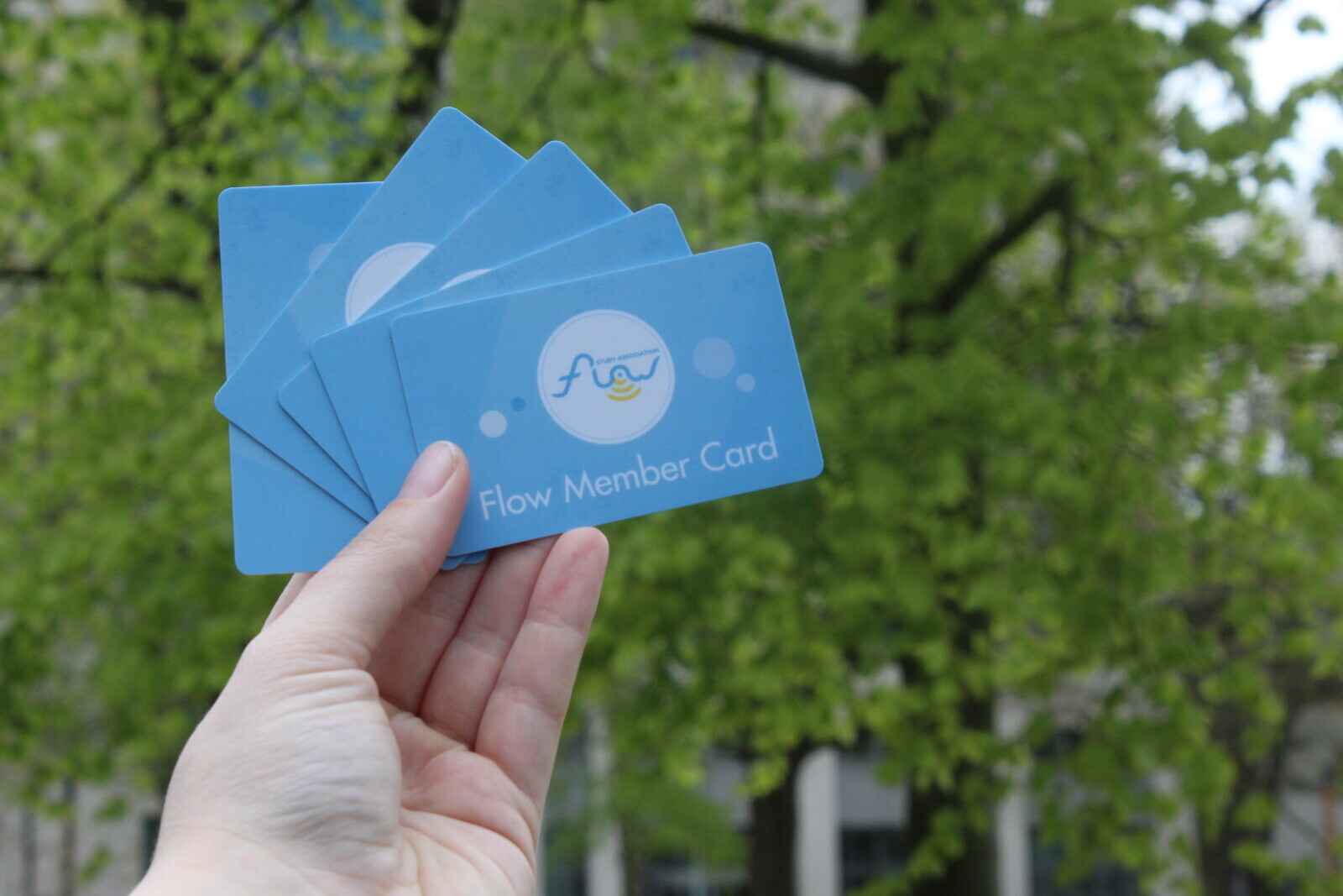 Home - Study Association Flow